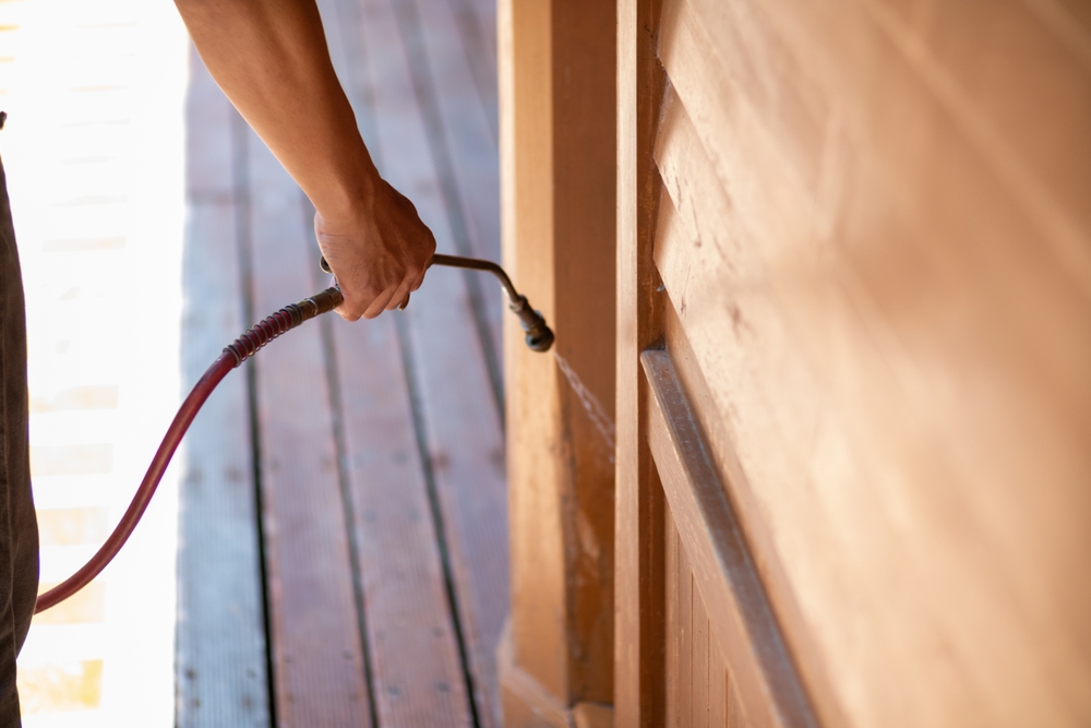 Five Cities - Key Termite & Pest Control